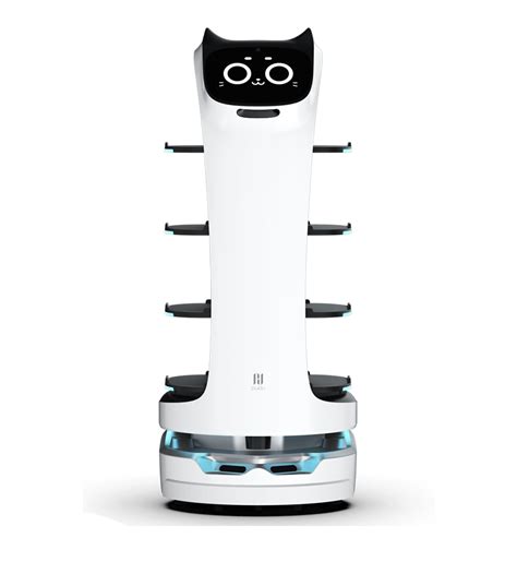 Robotlab Restaurant Robots Store