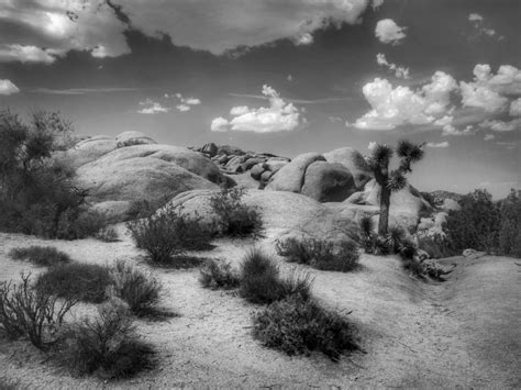 Congratulations To Donna Stover For Outdoor Interlopers Facebook