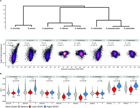 ability to detect selection on codon usage varies between download