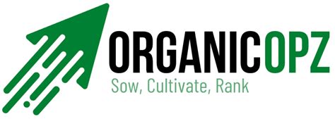 Dealing With Incomplete Or Inaccurate Data In Analysis