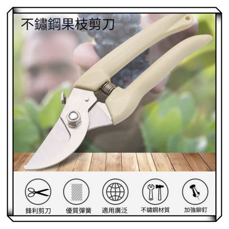 【現貨】樹枝剪 剪刀 高枝剪 果樹剪 花枝剪刀 粗枝剪刀 修枝剪 花剪 鳥嘴剪 採果剪刀 農用剪 摘果剪 修剪花樹 蝦皮購物