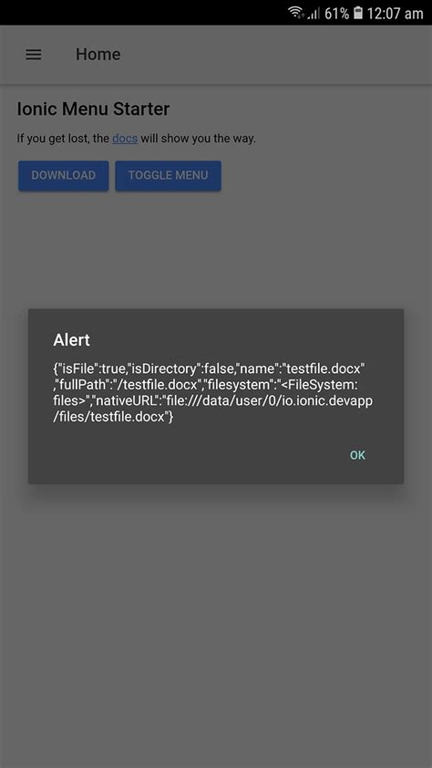 File Transfer Download Issue Ionic V3 Ionic Forum