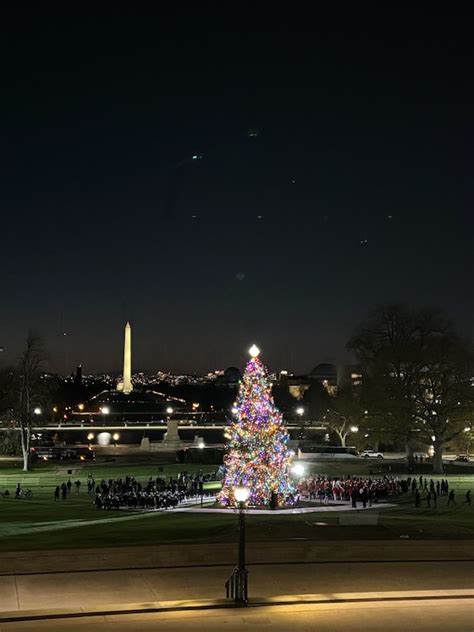 2024 U S Capitol Christmas Tree Chloe Tootsie