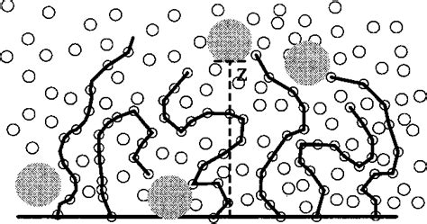 Figure 1 From Protein Adsorption On Surfaces With Grafted Polymers A