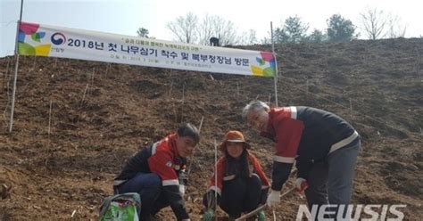 북부지방산림청 4월까지 강원권 나무심기 행사
