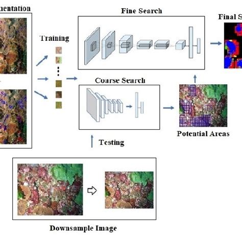 Coral Image Segmentation Result Download Scientific Diagram