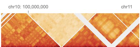Support Rotated 2D Matrix Issue 33 Gosling Lang Gosling Js GitHub