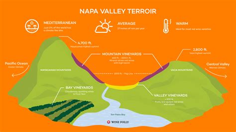 Discover The Terroir Of Napa Valley Through Its Vineyards