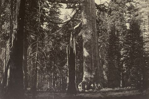 Emerson And His ‘big Brethren Christopher Benfey The New York Review Of Books