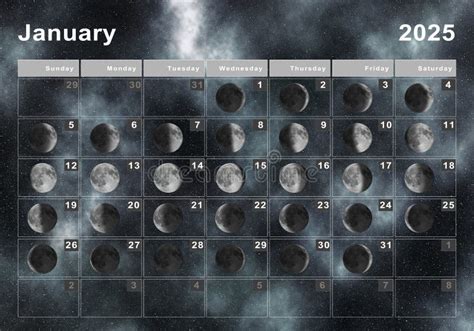 Dark Forest Lunar Calendar 2025 Printable Pdf Foremost Notable