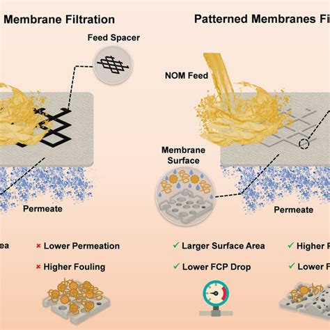 Comparison Between The Conventional And Patterned Pes Membrane