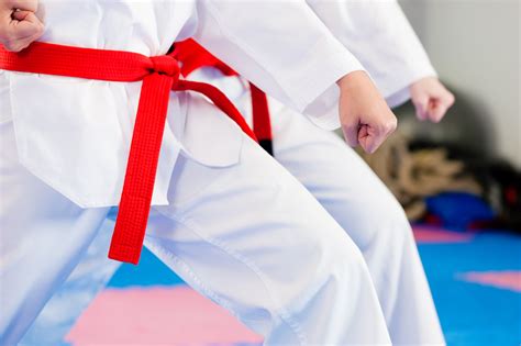 Adult Color Belts Ata Taekwondo Tournament