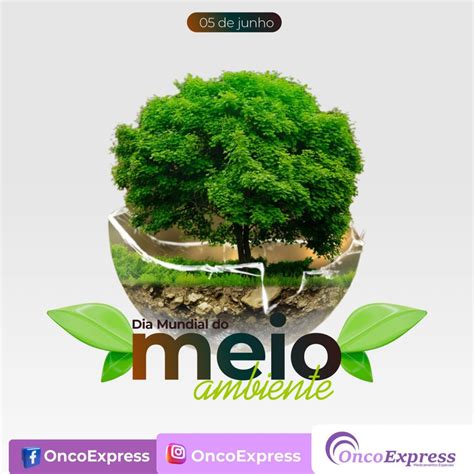 05 De Junho Dia Mundial Do Meio Ambiente Oncoexpress