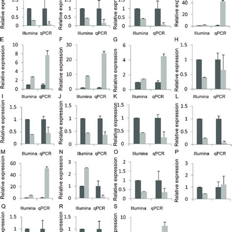 Validation Of 19 Genes Differentially Expressed Between Female And Male