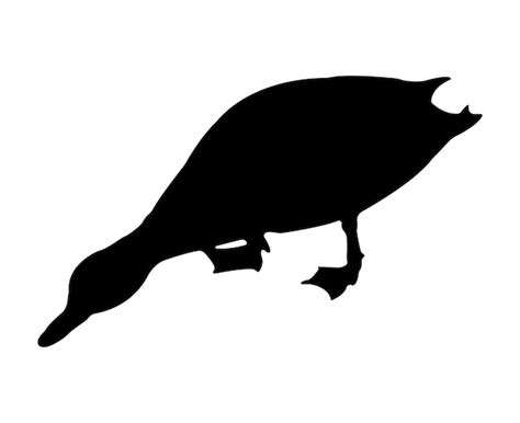 白い背景に分離されたベクトル フラット アヒル シルエット Premiumベクトル素材