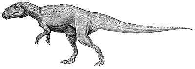 Sinraptor Natural History Museum