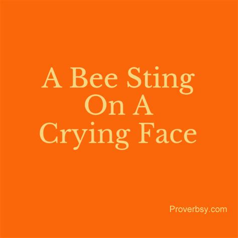 A Bee Sting On A Crying Face Proverbsy