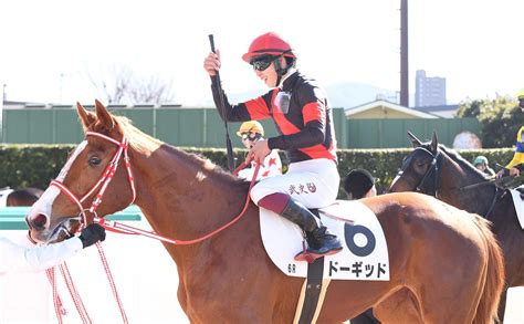 【新馬戦】ドーギッド ハイペース走も豪快差し切りv 横山武「動けるようになれば（さらに）楽しみ」 競馬ニュース Netkeiba