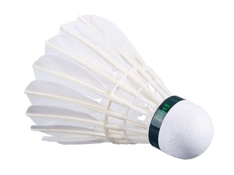 Hybrid Shuttles Sieginternational