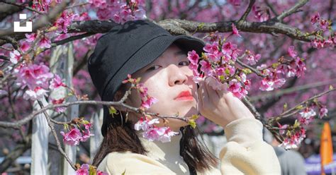 베이지색 코트와 검은 모자를 쓴 여자가 낮에 벚꽃 나무 아래에 서 있다 사진 Unsplash의 무료 회색 이미지