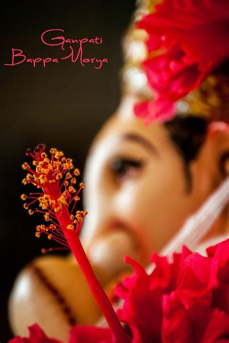 ️🌺तु येतोय या उत्साहाने😍झोपच लागत नाही🥰माझी झोप तुझ्या पायापाशी