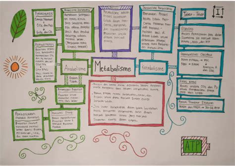 Mind Map Metabolisme Hasil Akhir Andreasrenoarmadona 3 Xiia1 Pdf