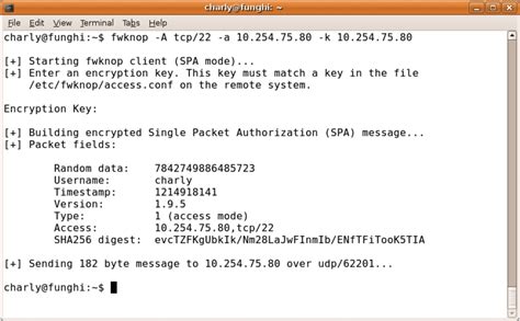 aus dem alltag eines sysadmin single packet authentication