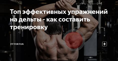 Топ эффективных упражнений на дельты как составить тренировку Fit