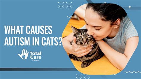 Can Cats Have Autism Signs And Symptoms In Cats