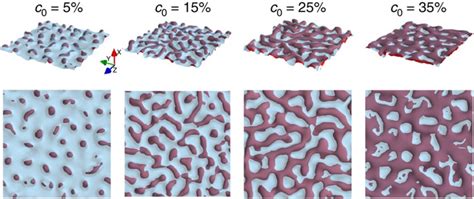 Topology Generating Interfacial Pattern Formation During Liquid Metal