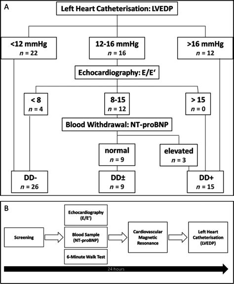 Assessment Of Diastolic Dysfunction Comparison Of Different Cardiovascular Magnetic Resonance