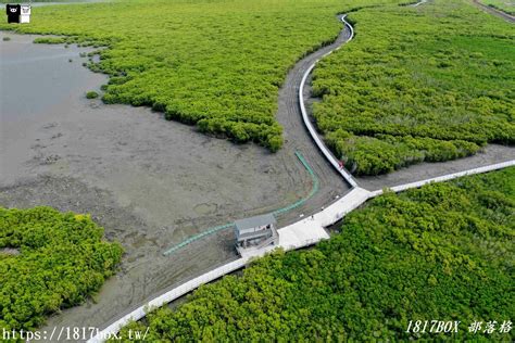 【彰化。芳苑】芳苑濕地。紅樹林海空步道。生態豐富。海天一色 1817box部落格