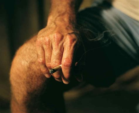 The Top 10 Best Weed Strains For Sex 2025