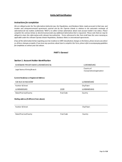 Fillable Online 2024 Crs Entity Self Certification Form Fax Email Print Pdffiller