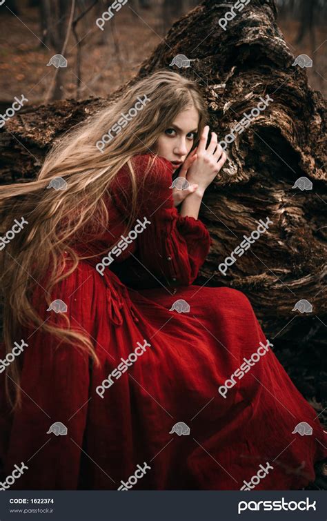 جادوگر زیبا که در جنگل زندگی می کند 1622374