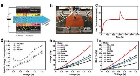 Cdi Performance Evaluation Of Ppy Amc Electrodes A Schematic