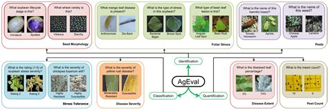 논문 리뷰 Leveraging Vision Language Models For Specialized Agricultural Tasks