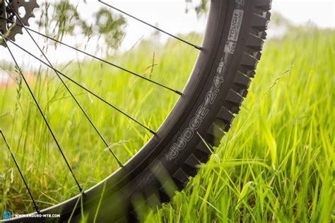 Neue Reifen bei WTB: Judge-Hinterreifen und viele Updates | ENDURO ...