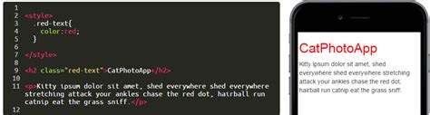 Belajar Membuat Web Dengan Freecodecamp Bagian 1 HTML5 CSS