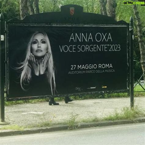 Anna Oxa Wiki Biography Age Gallery Spouse And More