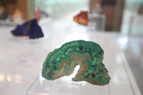 Día De Los Museos Un Recorrido Alternativo Para Descubrir Los Tesoros