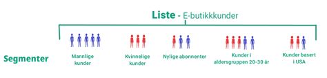 Hva Er Et Segment Segment Definisjon Og Typer Mainbrainer