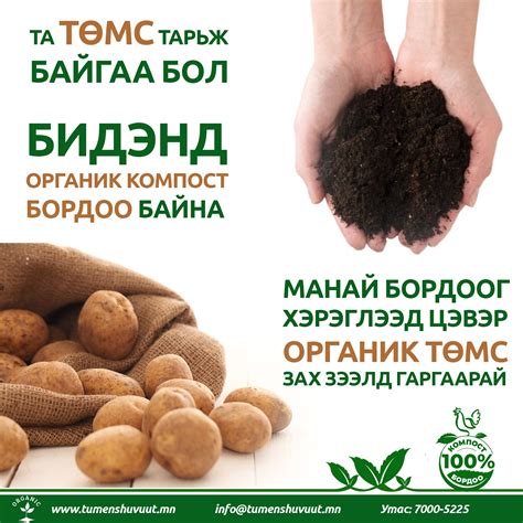 100 Компост Бордоо Home