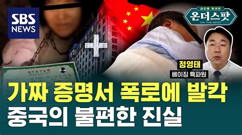 중국 가짜 증명서 폭로에 발칵숨겨진 불편한 진실 Sbs 온더스팟 Youtube