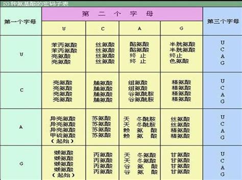 20种氨基酸 20种氨基酸结构式 随意优惠券