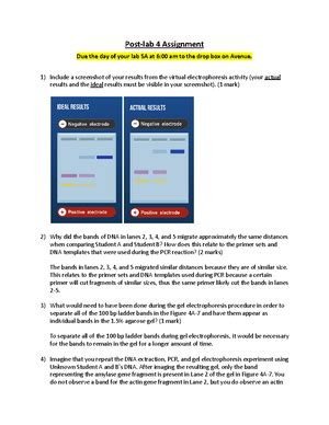 BIO 1A03 Post Lab 1 Assignment BIO 1A03 Post Lab 1 Assignment Due One Week Following Lab 1 At