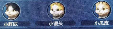 逆水寒大宋铲屎官宠物猫怎么获得逆水寒大宋铲屎官宠物猫获得方法分享3dm网游