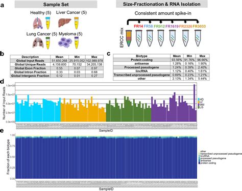 Transcriptomic Analysis Of Size Fractionated Human Plasma A Schematic