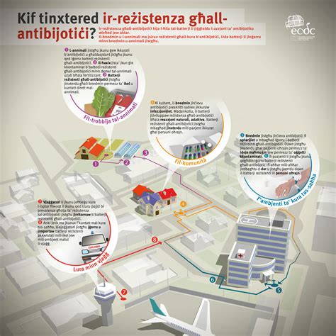 How Does Antibiotic Resistance Spread