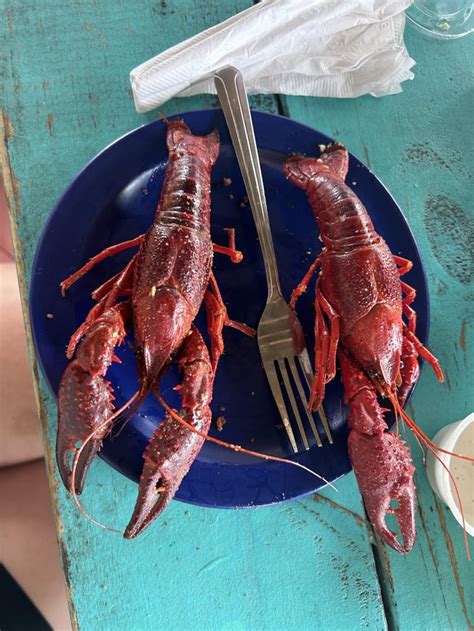 Massive Crawfish 😌 Rcrawfishu